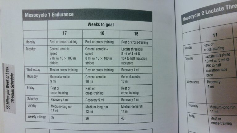 Advanced Marathoning: Book Review – Run Away From Zombies